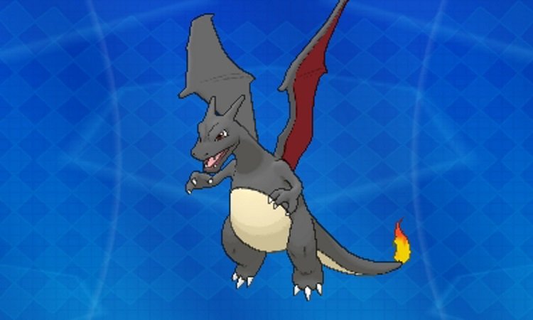 Pokemon Black Charizard