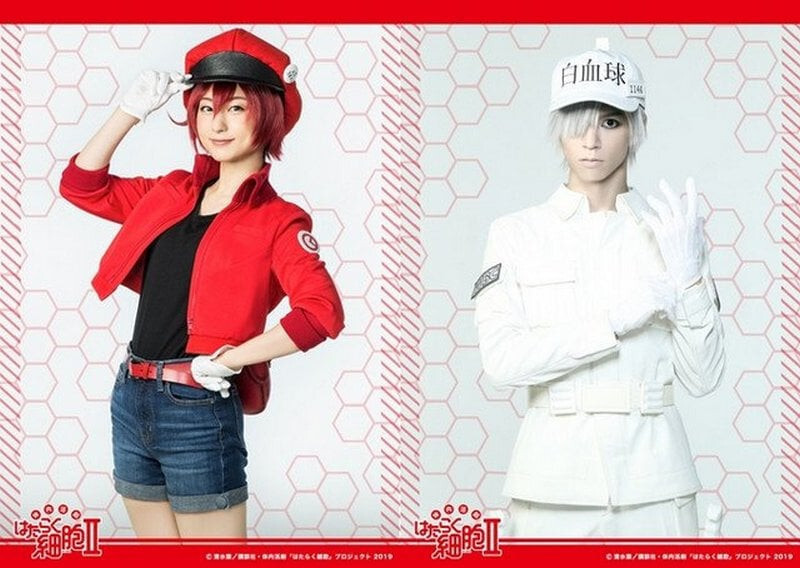 Cells at Work! Live-Action Movie Receives Trailer and Release Date